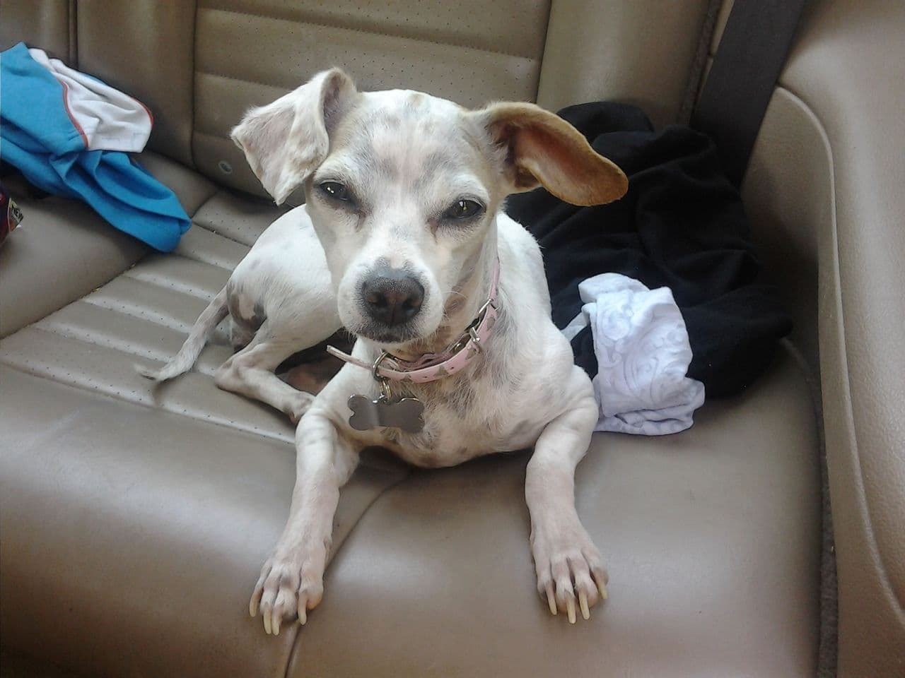 Letters to Pushkin - A place of comfort and healing